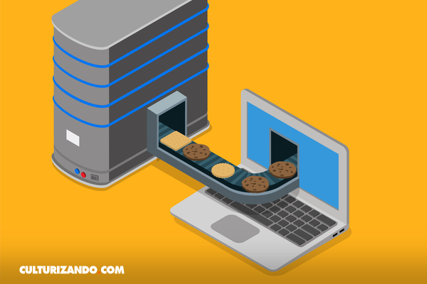 Cookies: ¿qué son y para qué funcionan?